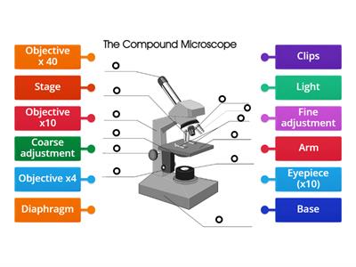 Label a microscope - Teaching resources