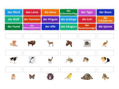 Deutsch Tiere - Unterrichtsmaterialien