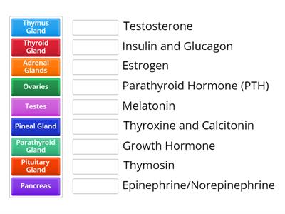 Endocrine hormones - Teaching resources