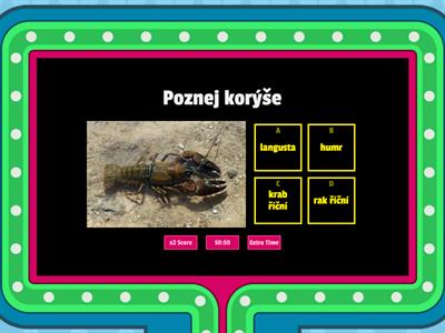 Korýši - Výukové zdroje