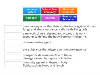Immune system - Teaching resources