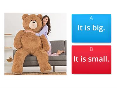 Big and small - Recursos didácticos