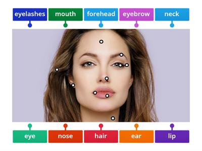 Face parts for kids - Учебные ресурсы