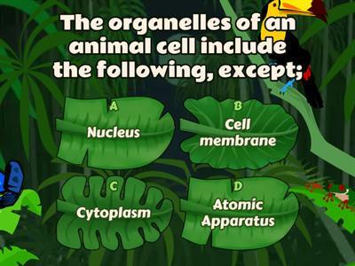 Animal cell quiz - Recursos de ensino