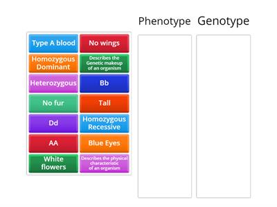 Genotype phenotype dominant recessive - Teaching resources