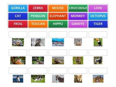 Vocabulary Animals - Recursos didácticos