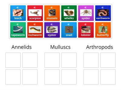 Invertebrates - Teaching resources