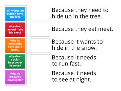 Why because - Recursos de ensino