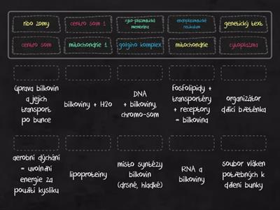 Rostlinná bunka - Výukové zdroje