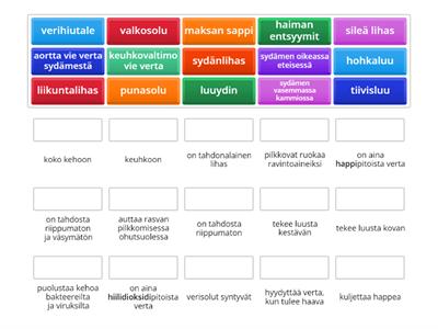 Ihmisen osat - Tehtävät