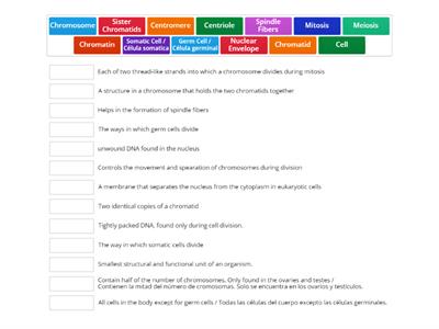 Meiosis and mitosis - Teaching resources