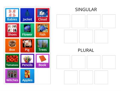 Singular and plural words - Recursos didácticos