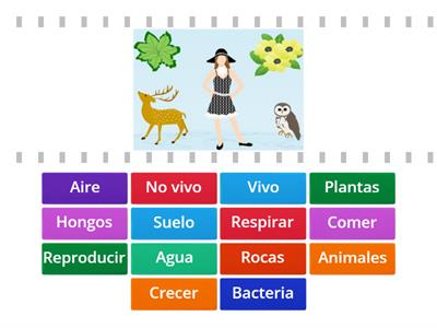 Seres vivos y no vivos - Teaching resources