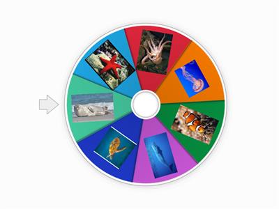 Juego memorice de animales marinos - Recursos didácticos