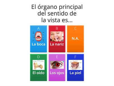 El sentido de la vista - Recursos didácticos