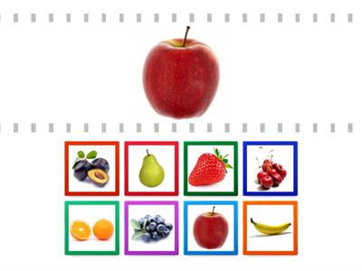 Ovoce malvice peckovice bobule - Výukové zdroje