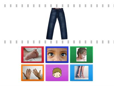 Partes del cuerpo y ropa - Recursos didácticos