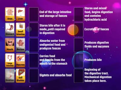 Digestive System Games - Teaching resources