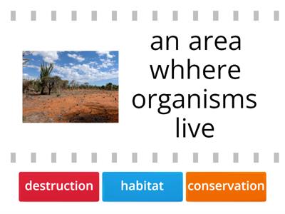 G5 Ecosystems maze - Teaching resources