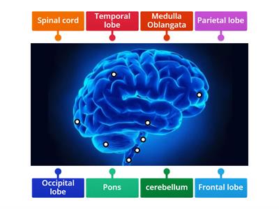 Brain teasers - Teaching resources