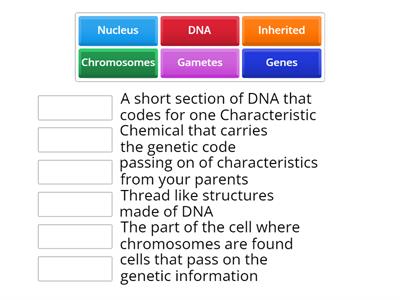 Genetic inheritance - Teaching resources