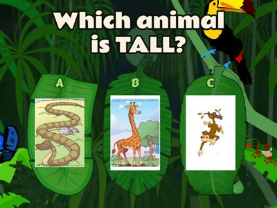 Wordwall wild animals - Recursos de ensino