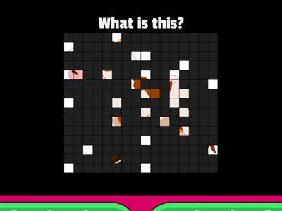 Guess the image - Teaching resources