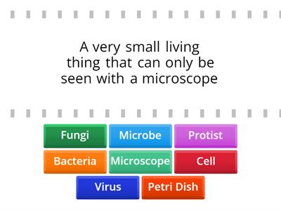 Microbes - Teaching resources
