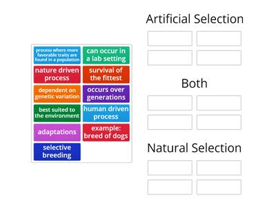 Natural vs artificial selection - Teaching resources