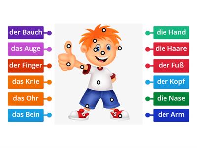 Körperteile - Teaching resources