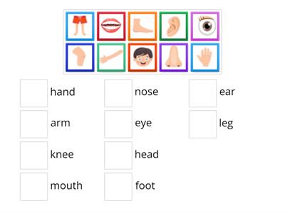 Animal body parts - Teaching resources