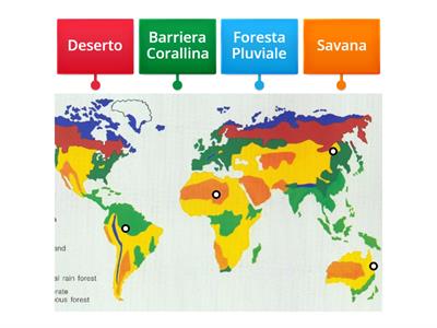Biomi - Risorse didattiche