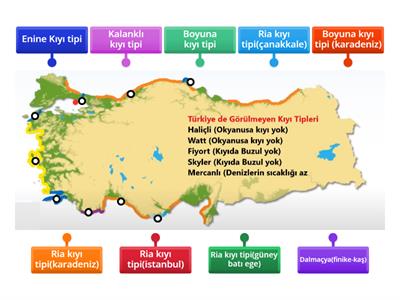 Kıyı tipleri - Öğretim kaynakları