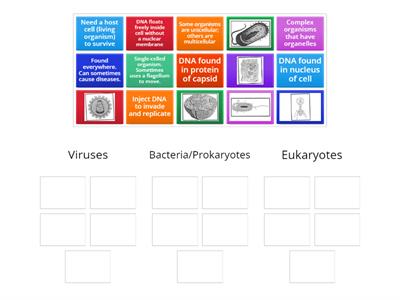 Prokaryotes vs eukaryotes diagrams - Teaching resources