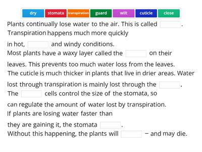 Transpiration - Teaching resources