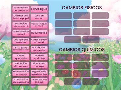 Cambios fisicos y quimicos - Recursos didácticos