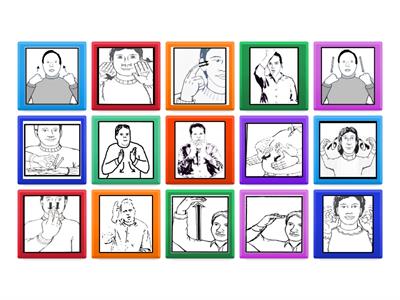 Bsl - Teaching resources