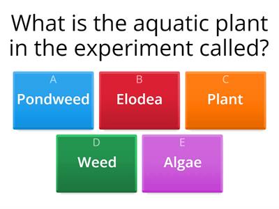 Photosynthesis experiment - Teaching resources
