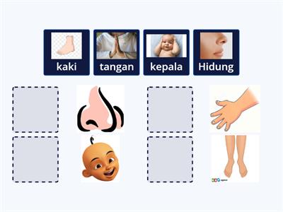 Mencocokkan - Teaching resources