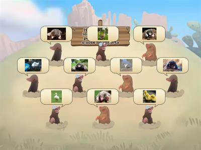 Topos circulos - Recursos didácticos