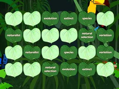 Evolution darwin - Teaching resources