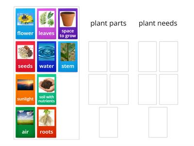 Plant needs and parts of a plant - Teaching resources