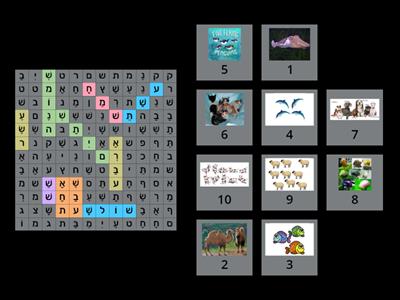 Hebrew word search - Teaching resources