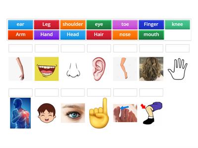 English Body parts - Öğretim kaynakları