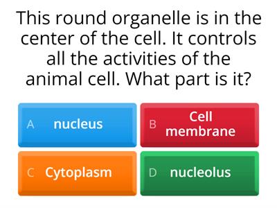 Word wall games - Teaching resources