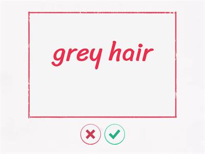 Solutions elementary 5a places - Учебные ресурсы