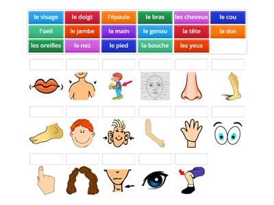 Les parties du corps humain - Ressources pédagogiques