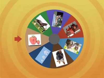 Big medium small - Teaching resources