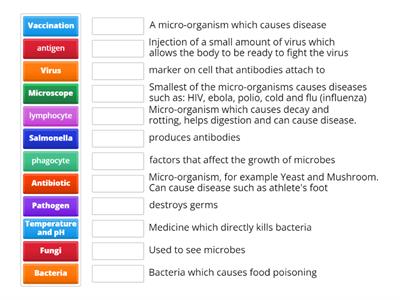 Microbes disease - Teaching resources