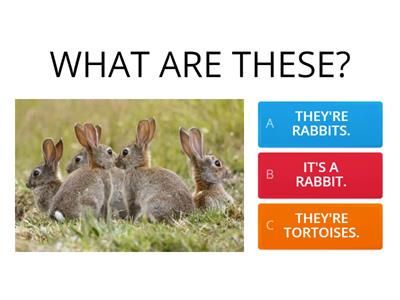 This these animals - Recursos didácticos